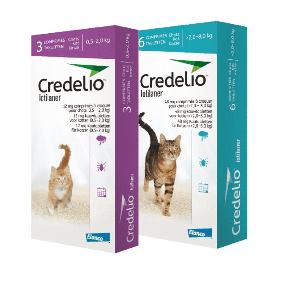 Credelio Gatos Antipulgas LivePetter
